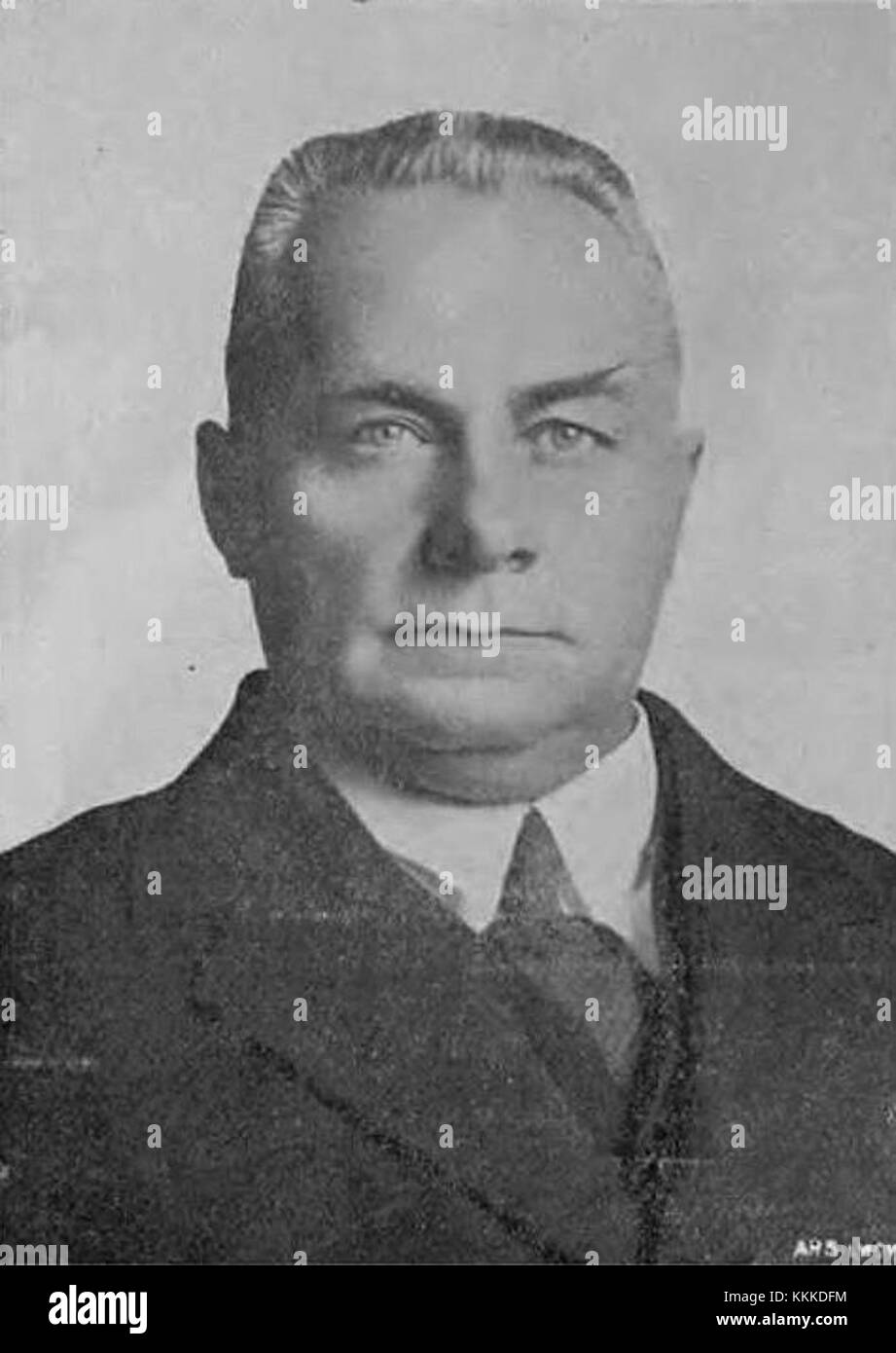 Antoni Anusz portrait Stock Photo - Alamy