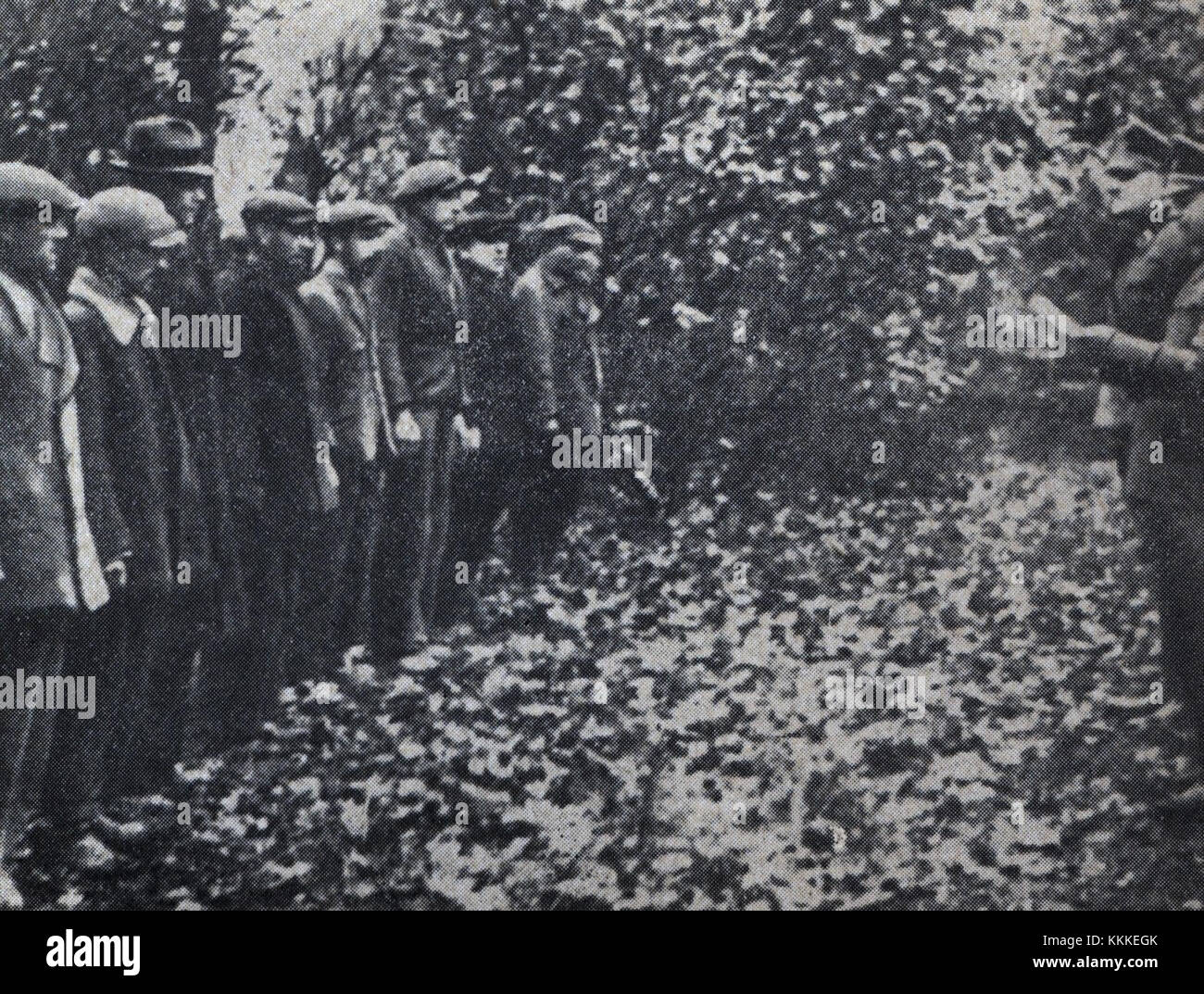 A historical account detailing the execution of Polish individuals in ...