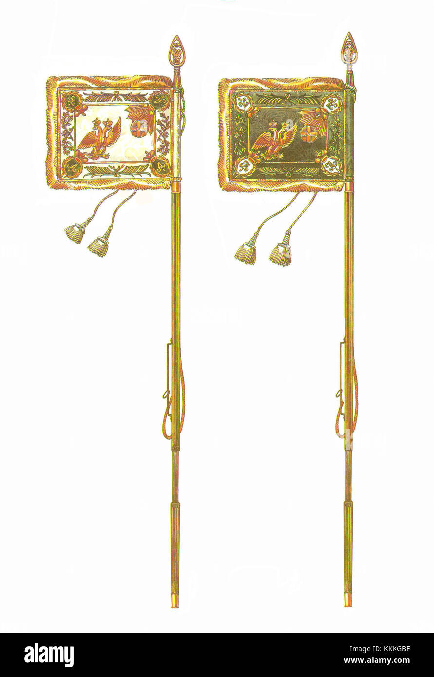 The Georgiyevskiye standards of the Finnish and Mitavskiy Dragoon ...