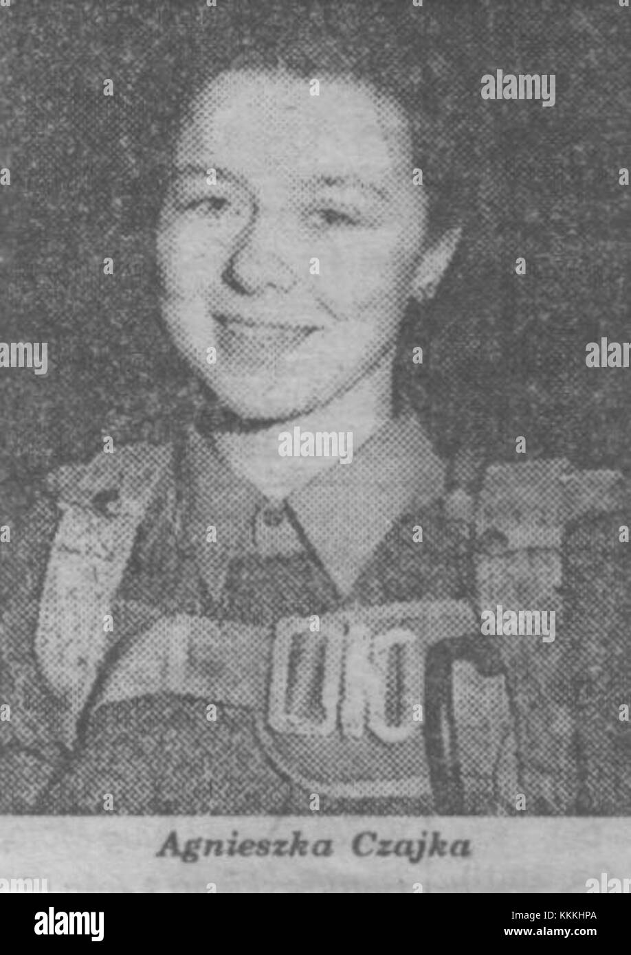 Czajka hi-res stock photography and images - Alamy