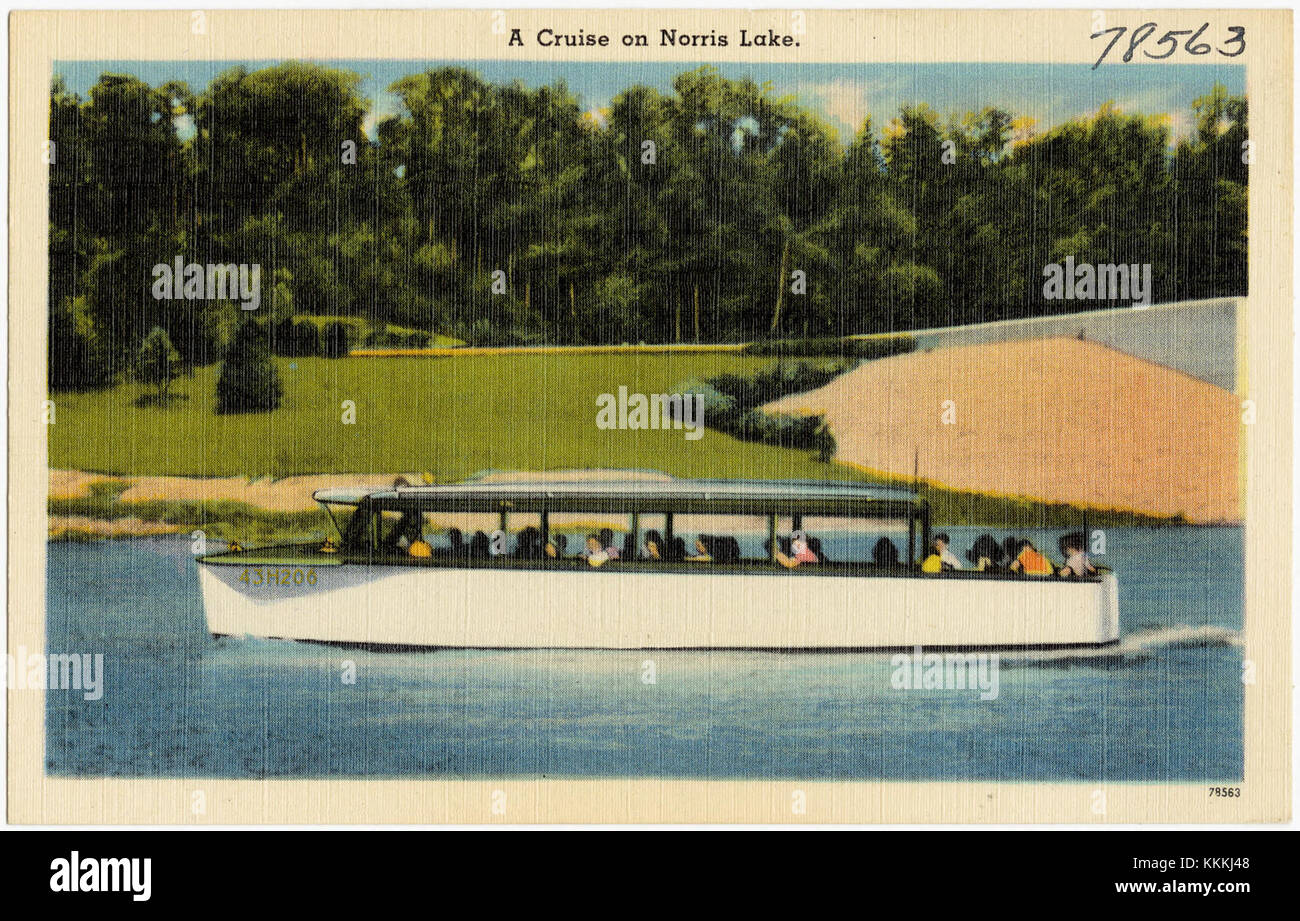 A scenic cruise on Norris Lake, showcasing the natural beauty of the ...