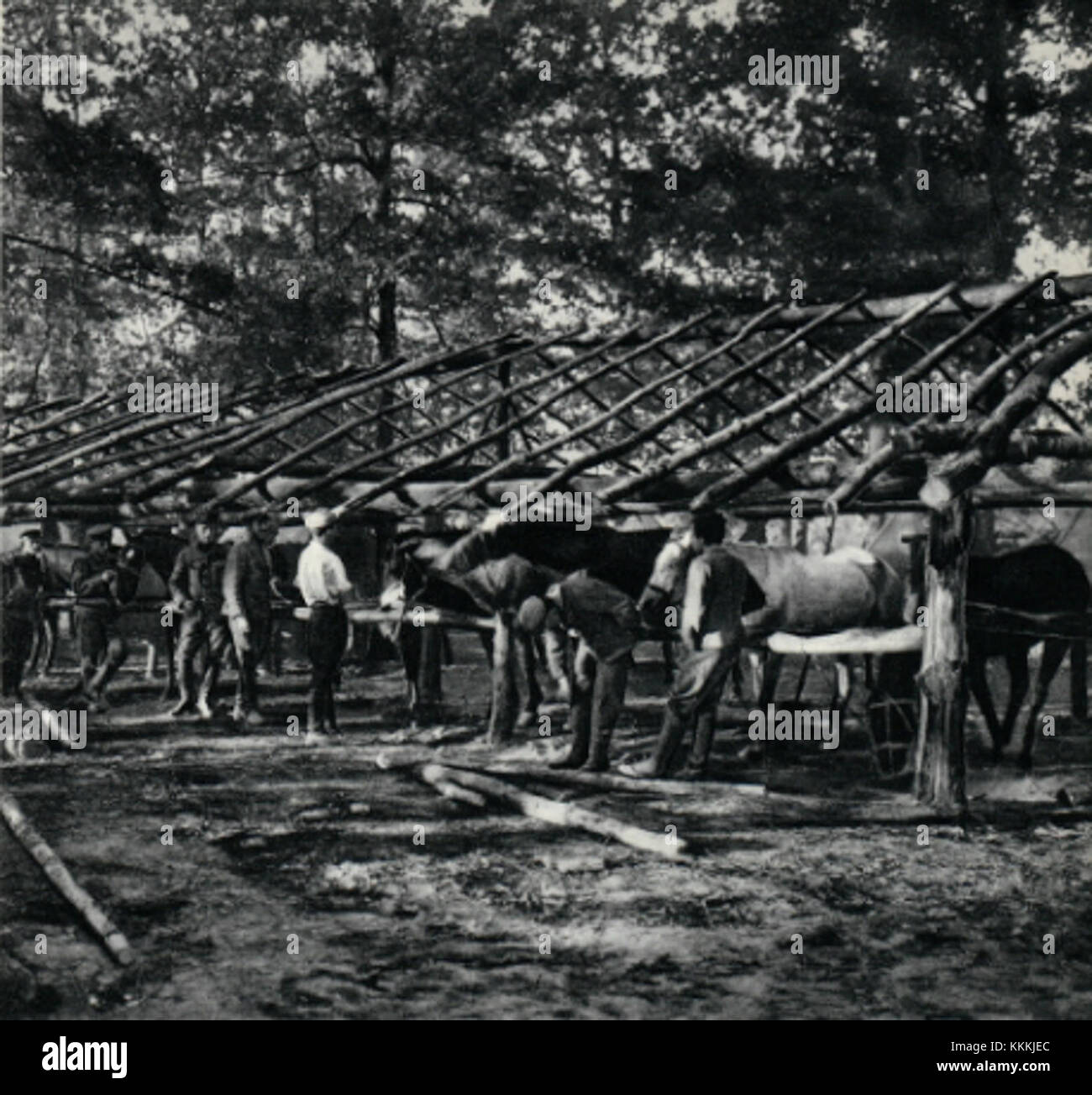 World war i stables hi-res stock photography and images - Alamy