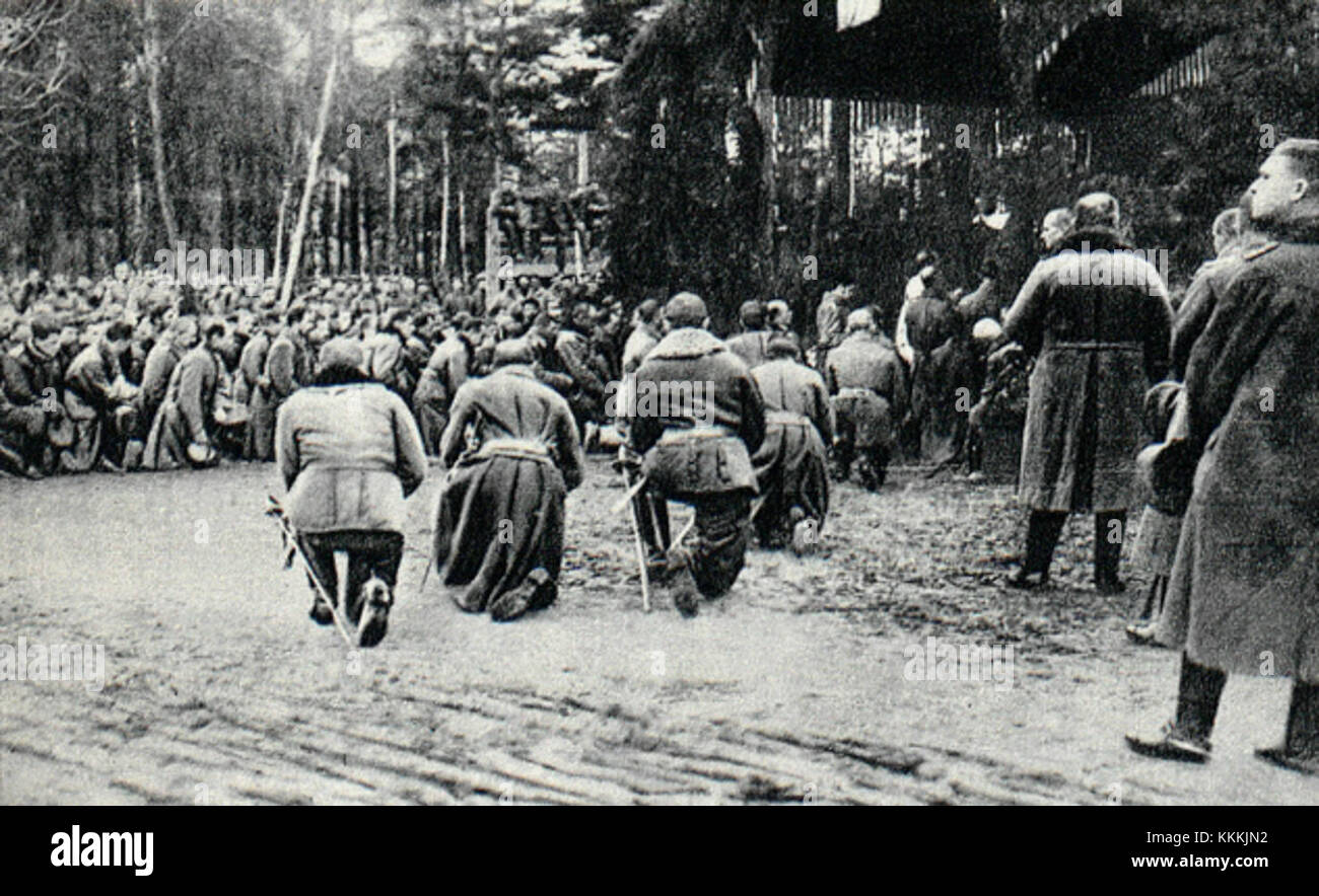 Nabo%%C5%%BCe%%C5%%84stwo z okazji og%%C5%%82oszenia aktu 5 listopada ...