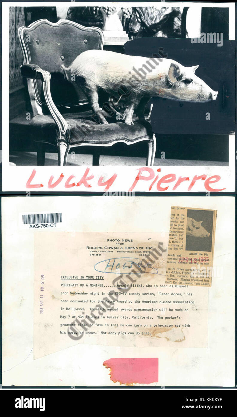 Arnold Ziffel was a beloved character from the 1960s TV show 'Green ...