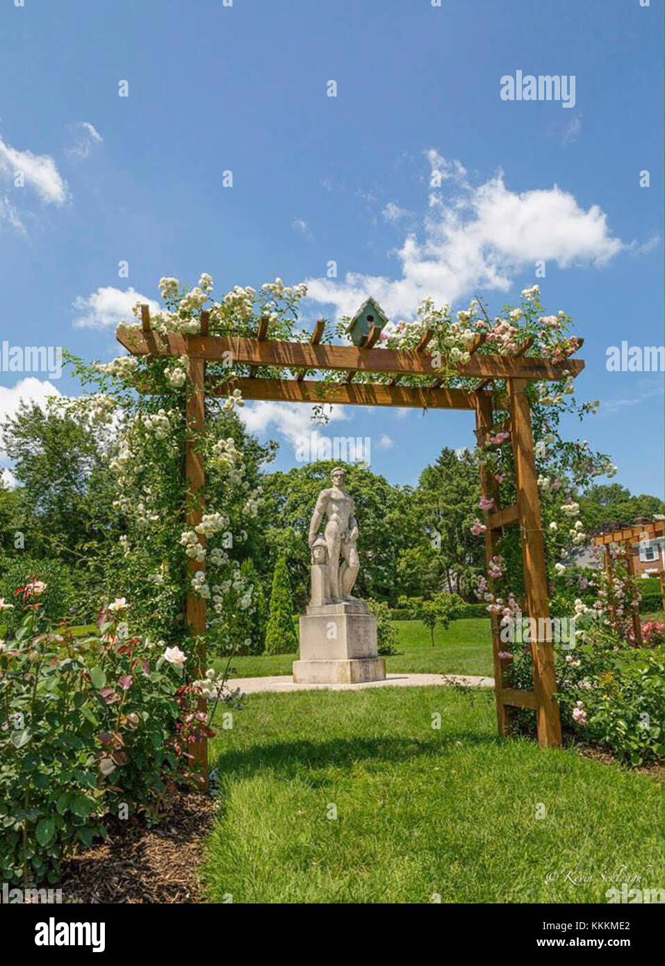 Photograph of the Allentown Rose Garden in Pennsylvania, taken in 1970 ...