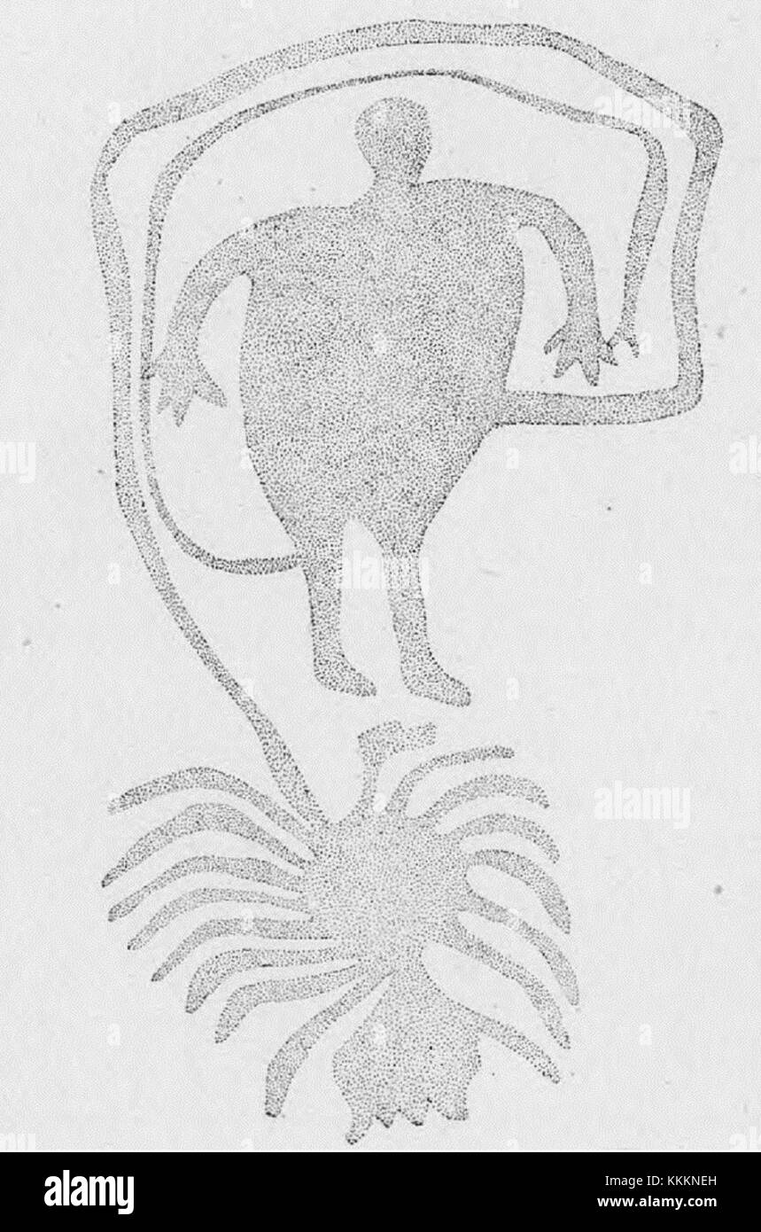 Spiderman Spider Cave Stock Photo - Alamy