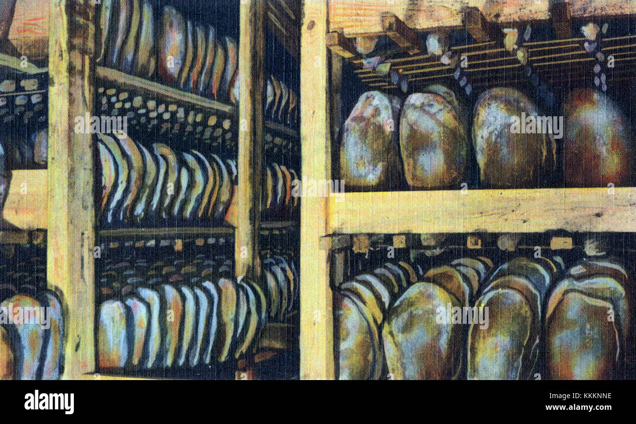 This photograph shows the ageing process of authentic Smithfield hams ...