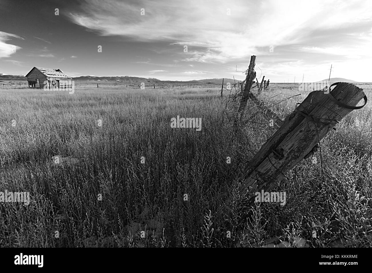 A decaying old barn in a beautiful field of Chamisa. San Acacio, CO ...