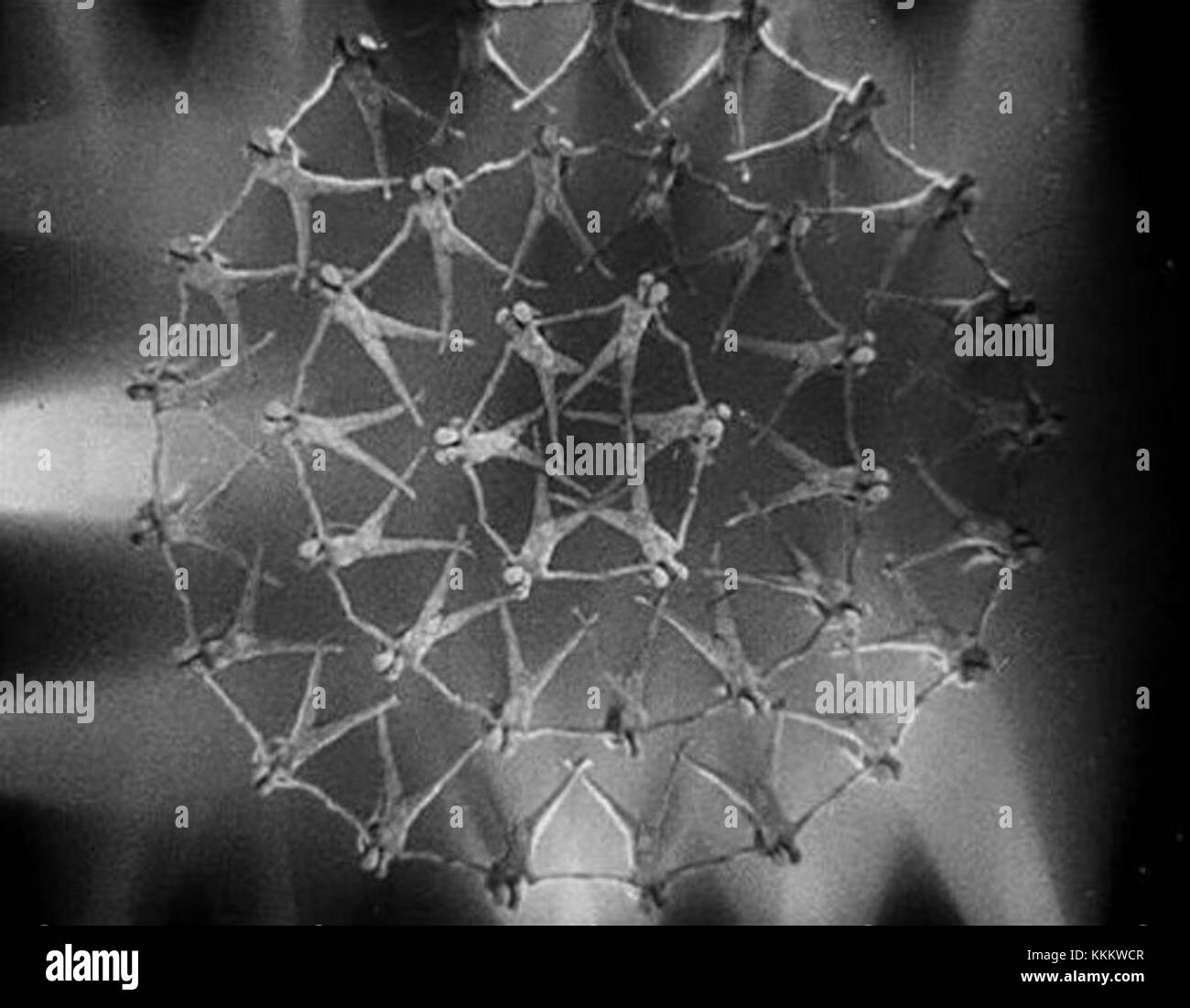 Musical directors Black and White Stock Photos & Images - Alamy