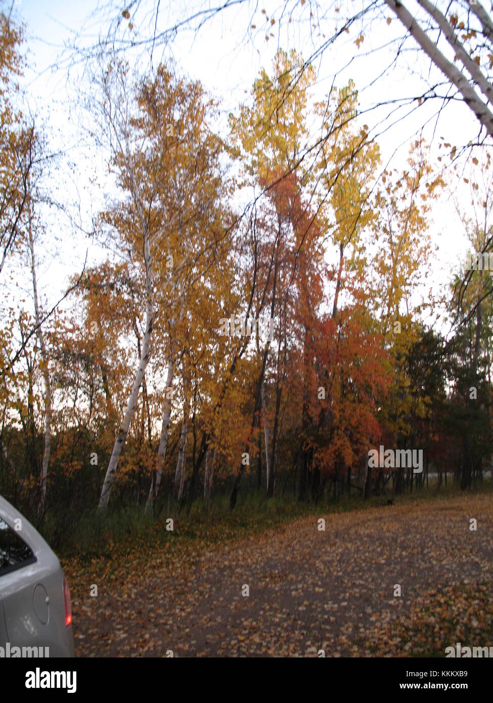 Fall in Minnesota Stock Photo - Alamy