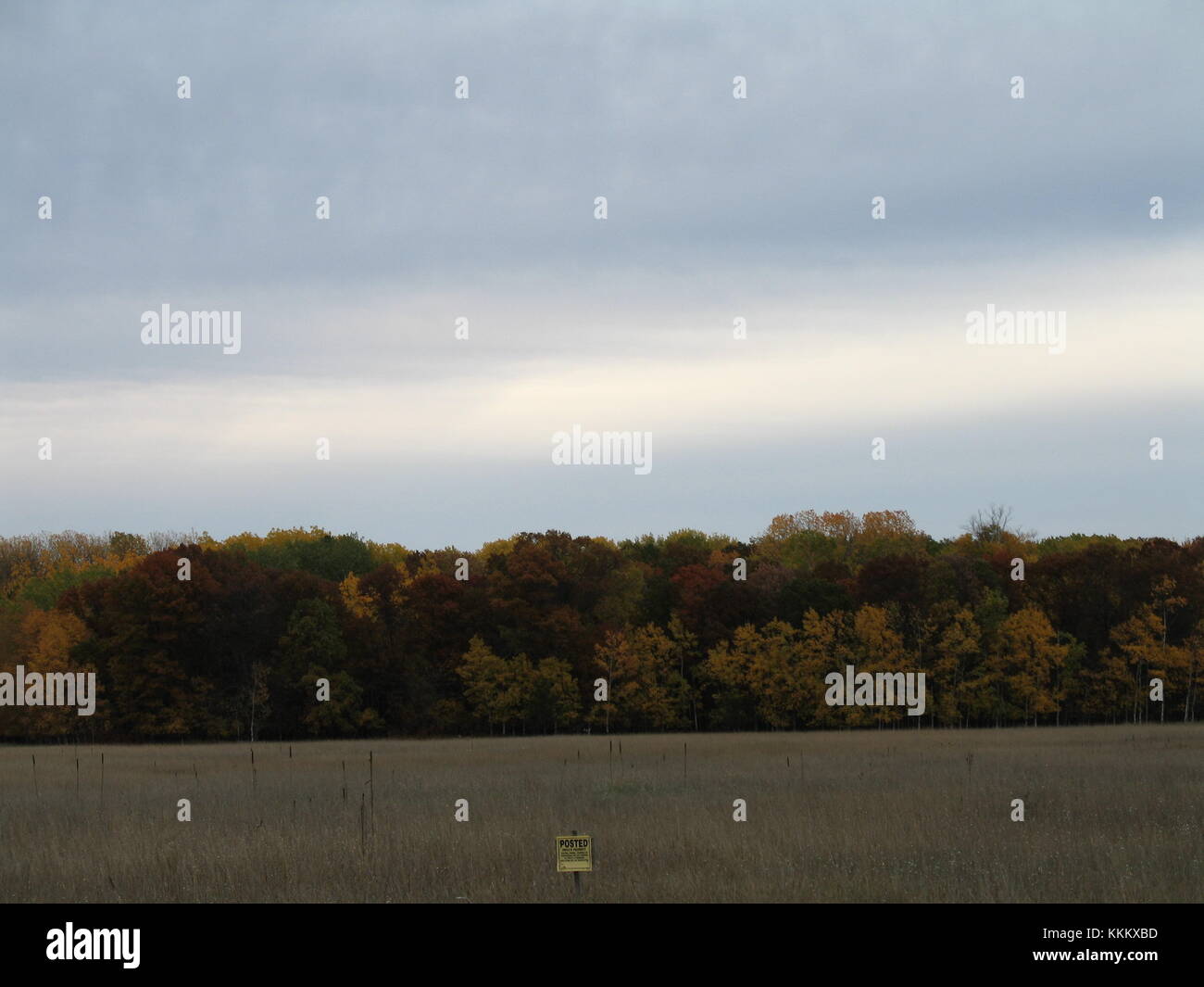 Fall colors in northern MN Stock Photo - Alamy