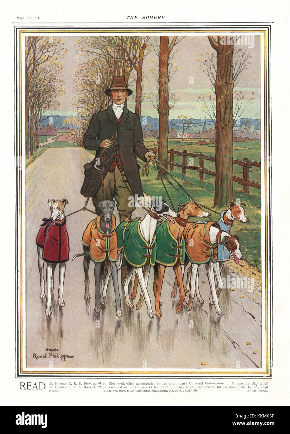 1914 UK Magazine Elliman's Embrocation Advert Stock Photo - Alamy