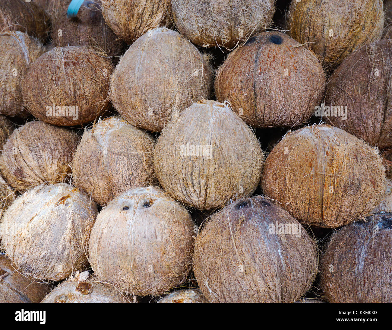 Coconuts mekong delta hi-res stock photography and images - Alamy