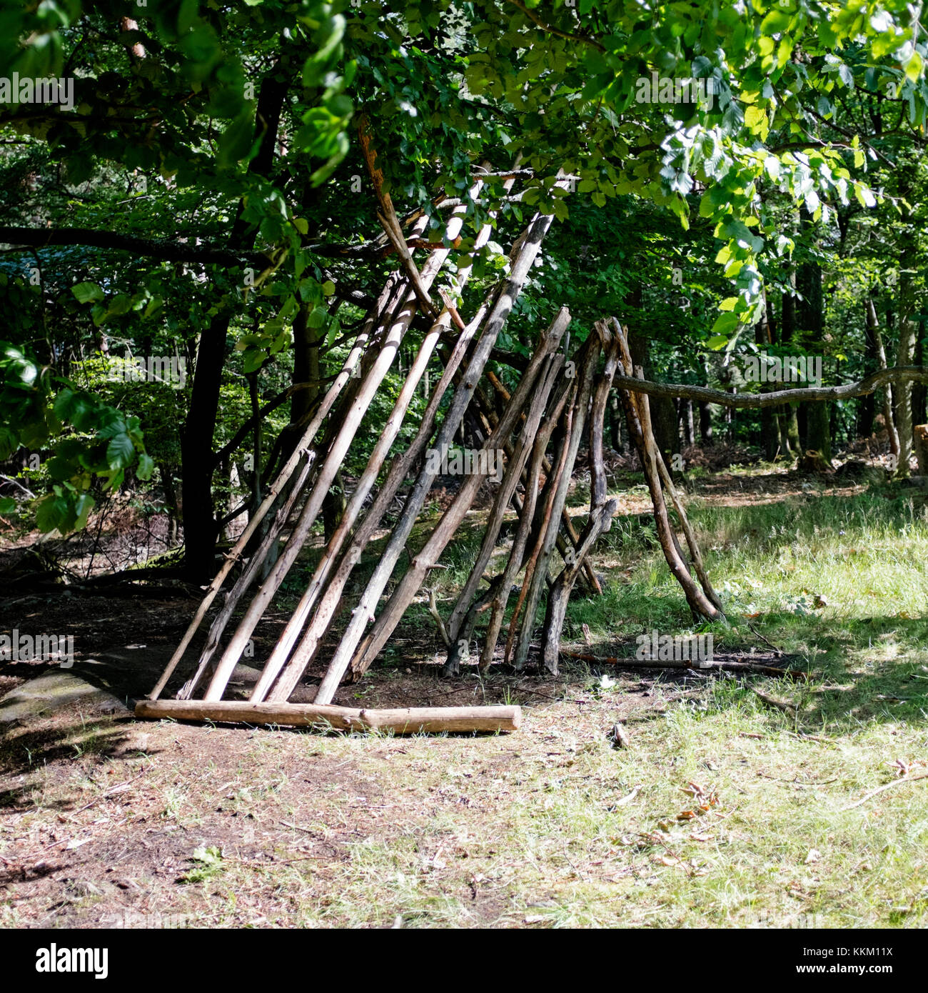 Survival shelter in forest hi-res stock photography and images - Alamy