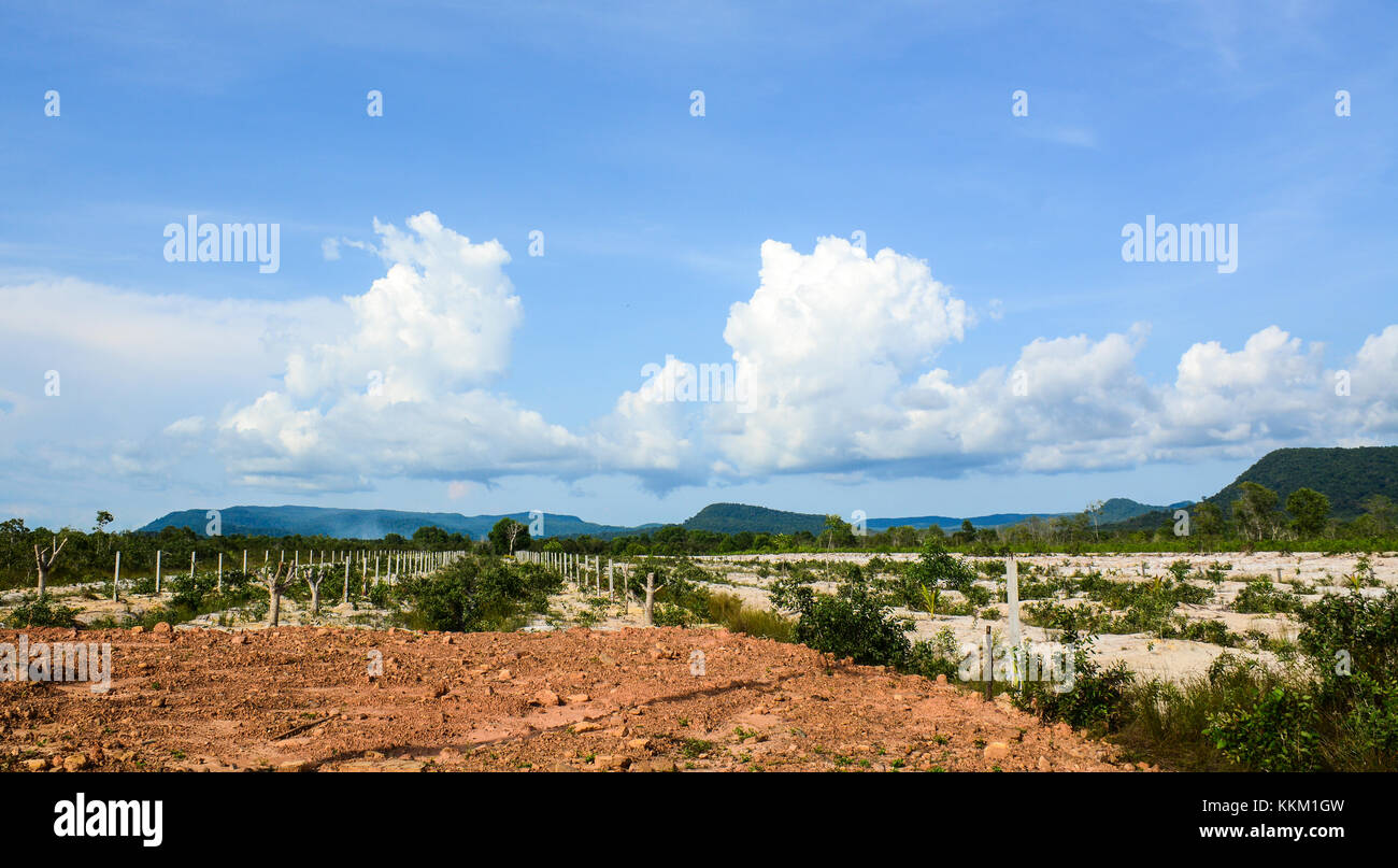 Empty field with mountain background at the sunny day Stock Photo - Alamy