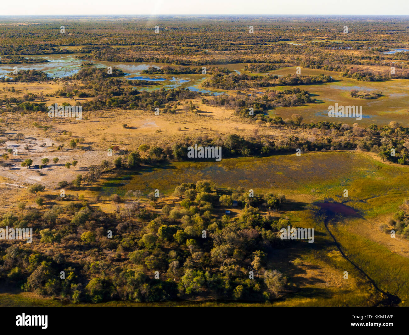Okavango Delta, Botswana Stock Photo - Alamy