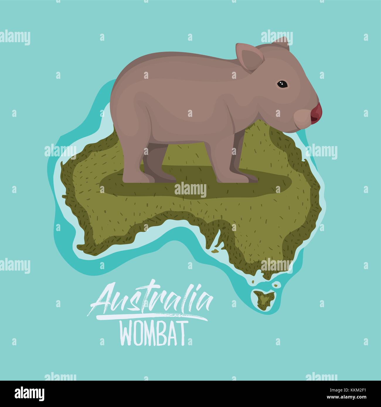 Animal wombat common wombat Stock Vector Images - Alamy