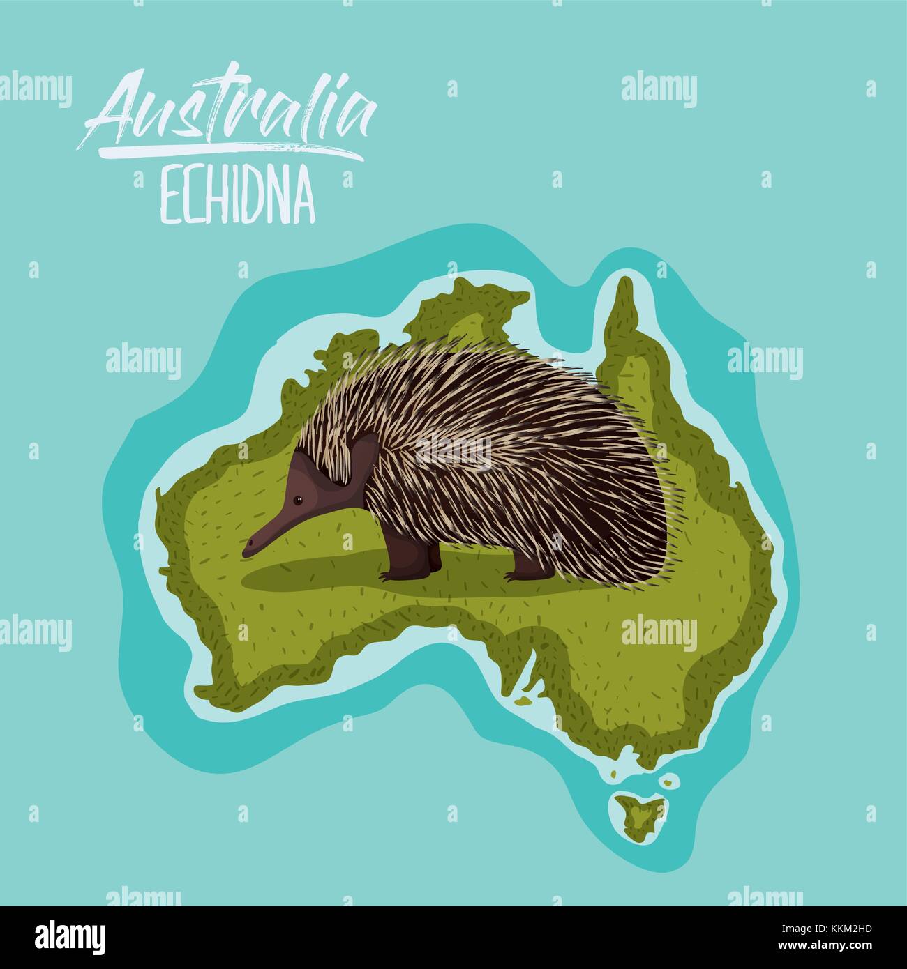 Echidna Illustration High Resolution Stock Photography and Images - Alamy