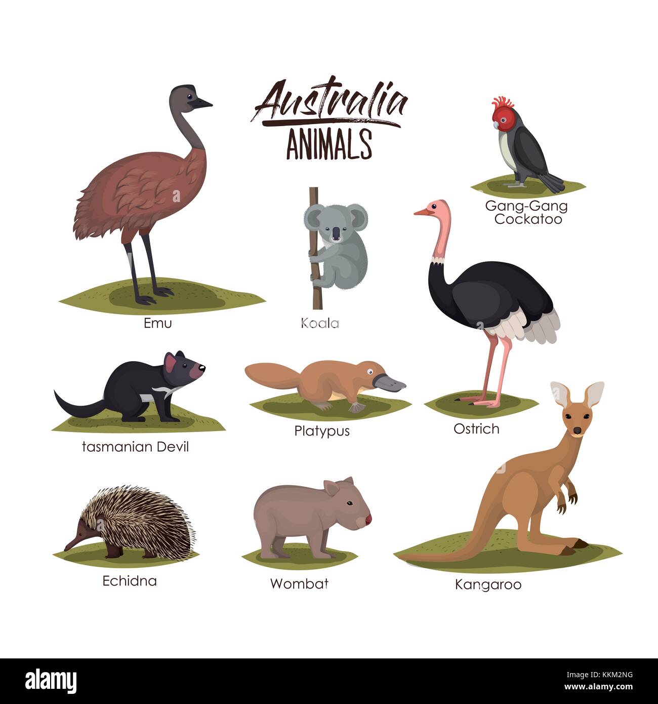 Animals in australia zoo Cut Out Stock Images & Pictures - Alamy