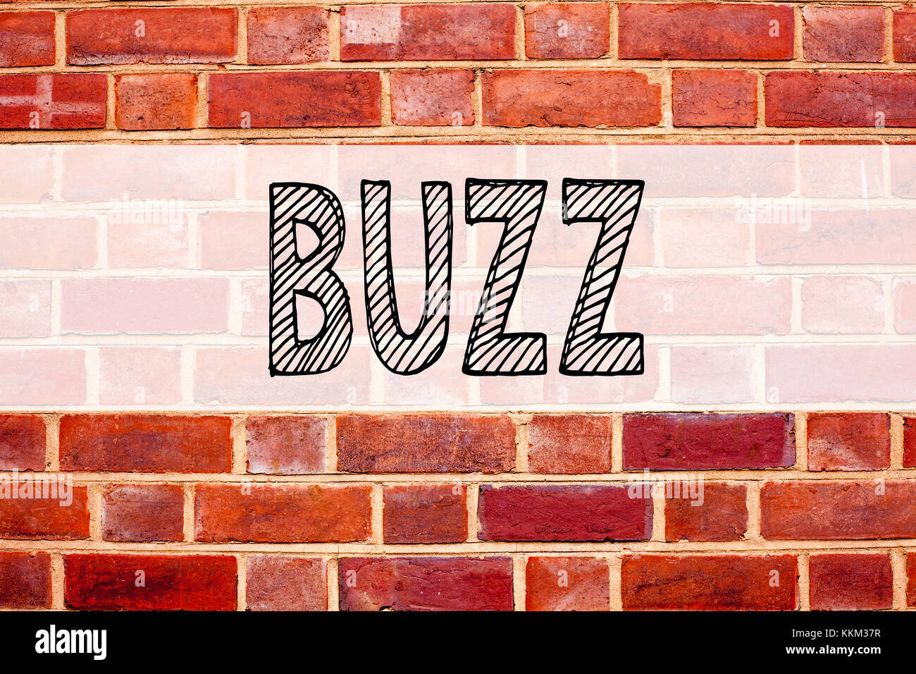 Conceptual announcement text caption inspiration showing Buzz. Business ...