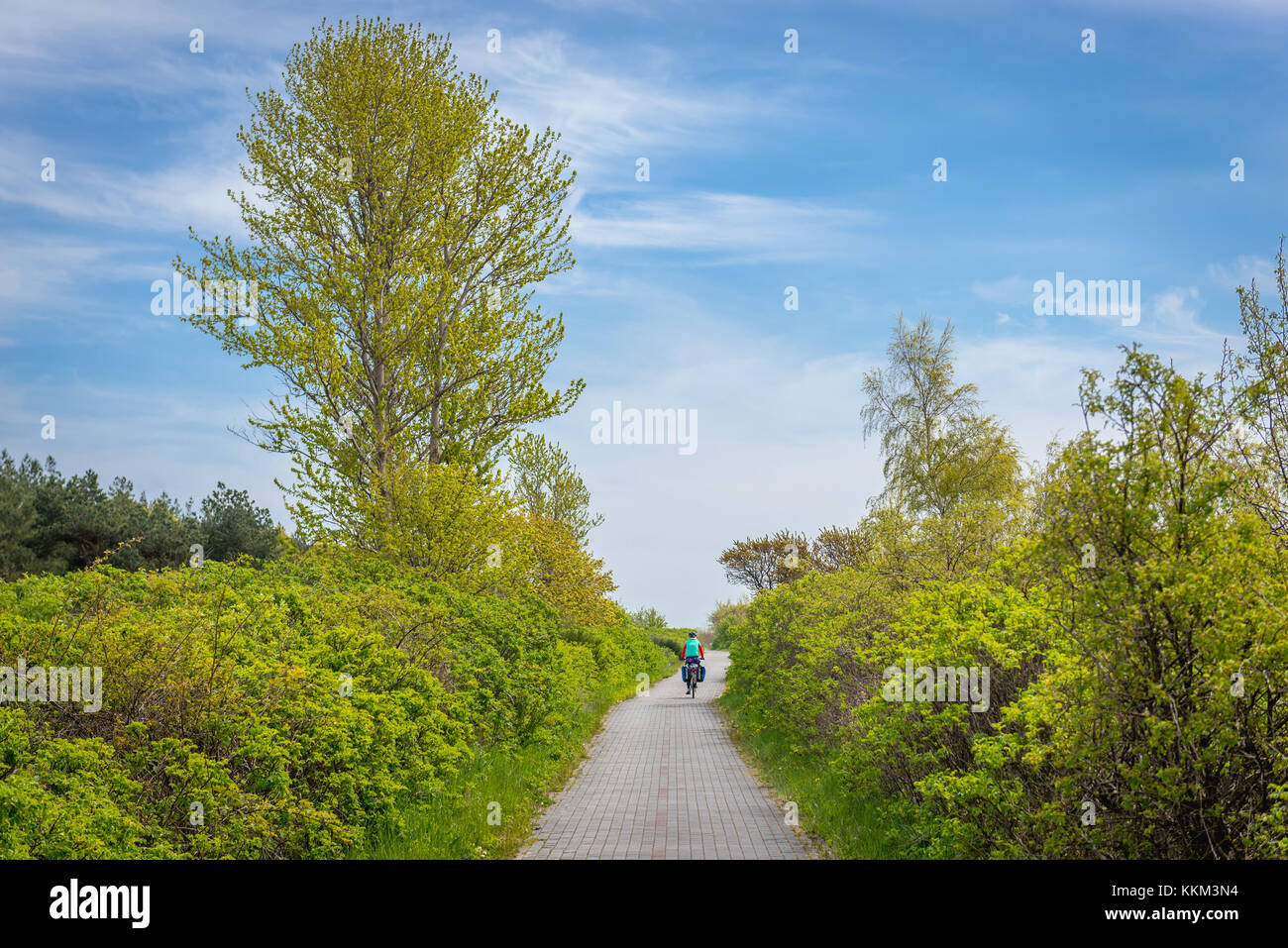 Bicycle path along Hel Peninsula sperating the Bay of Puck from Baltic ...