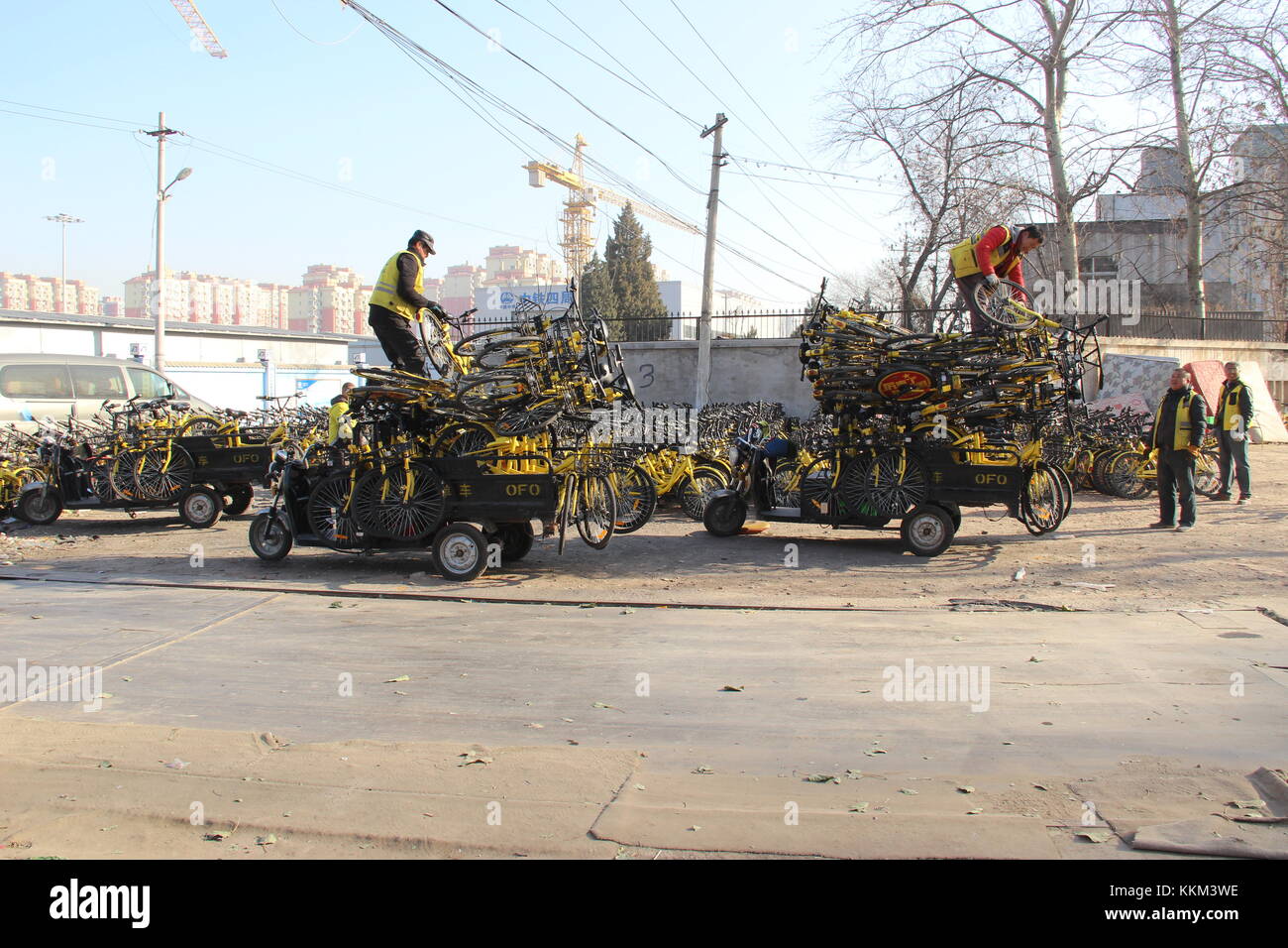 Workers loading share bicycles on vehicles Stock Photo - Alamy