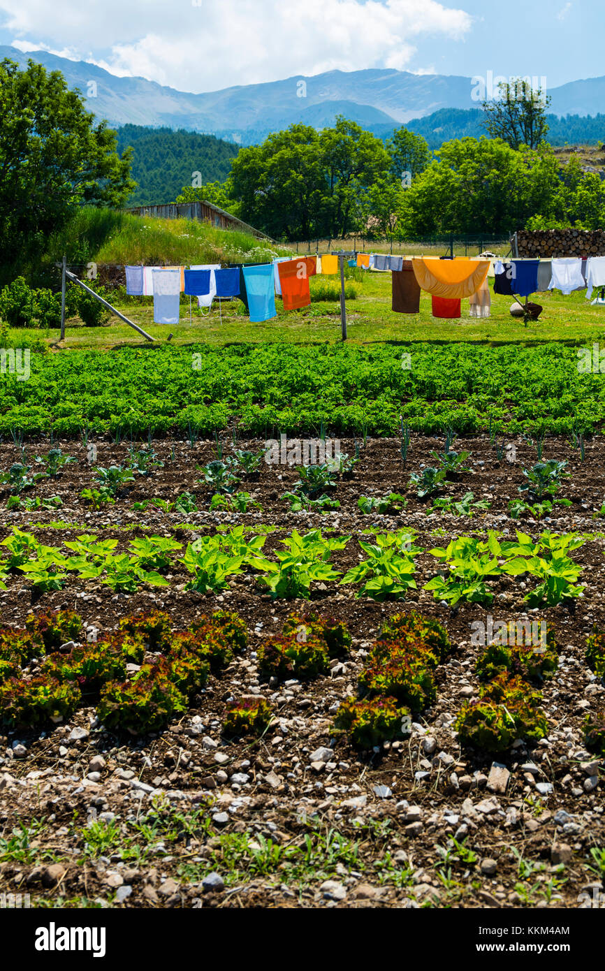 Organic Farm La Bergerie du Loup, Enchastrayes Village, Ubaye Valley ...