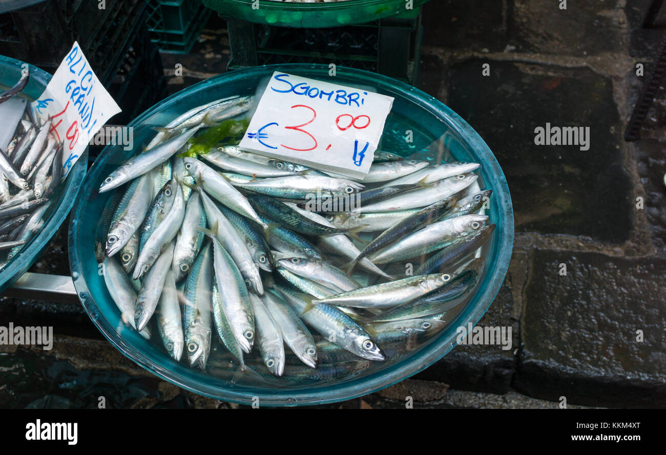 Mediterranean fish exposed in open market in Napoli Stock Photo - Alamy