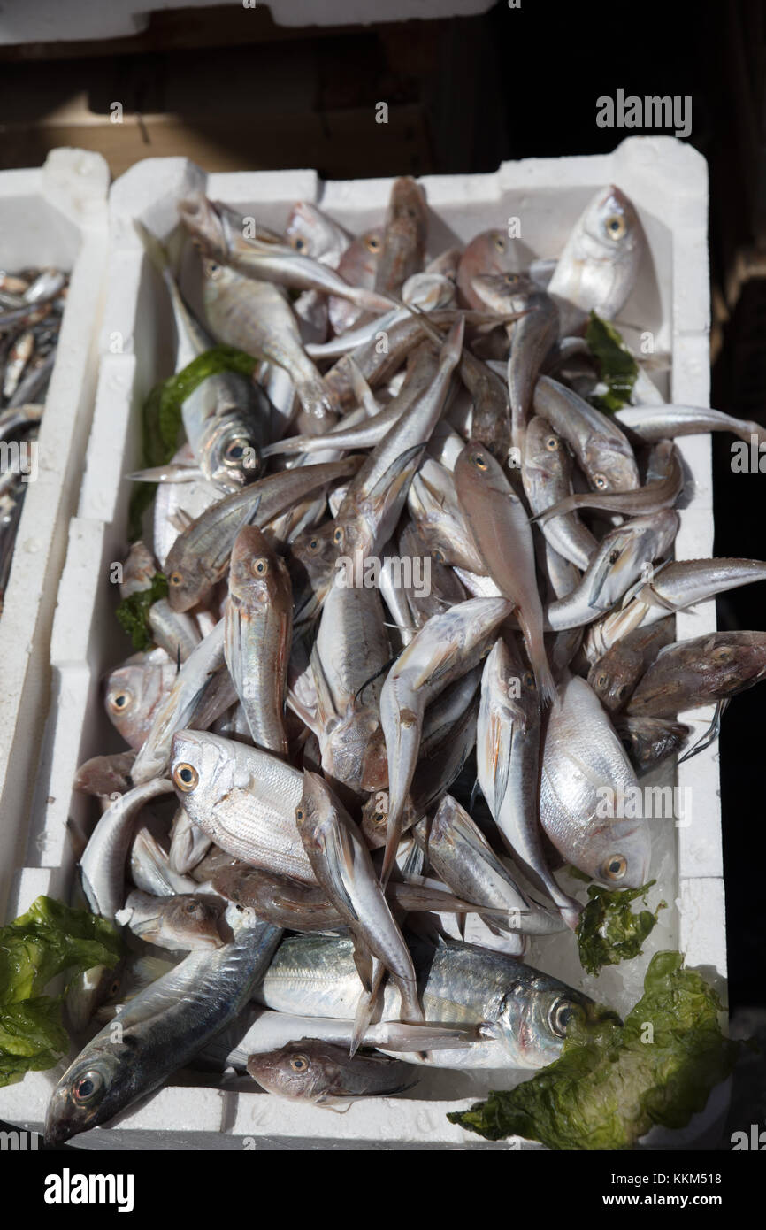 Mediterranean fish exposed in open market in Napoli Stock Photo - Alamy