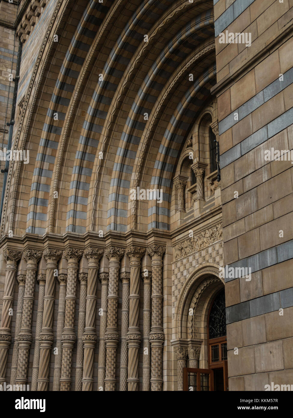 Detail facade natural history hi-res stock photography and images - Alamy