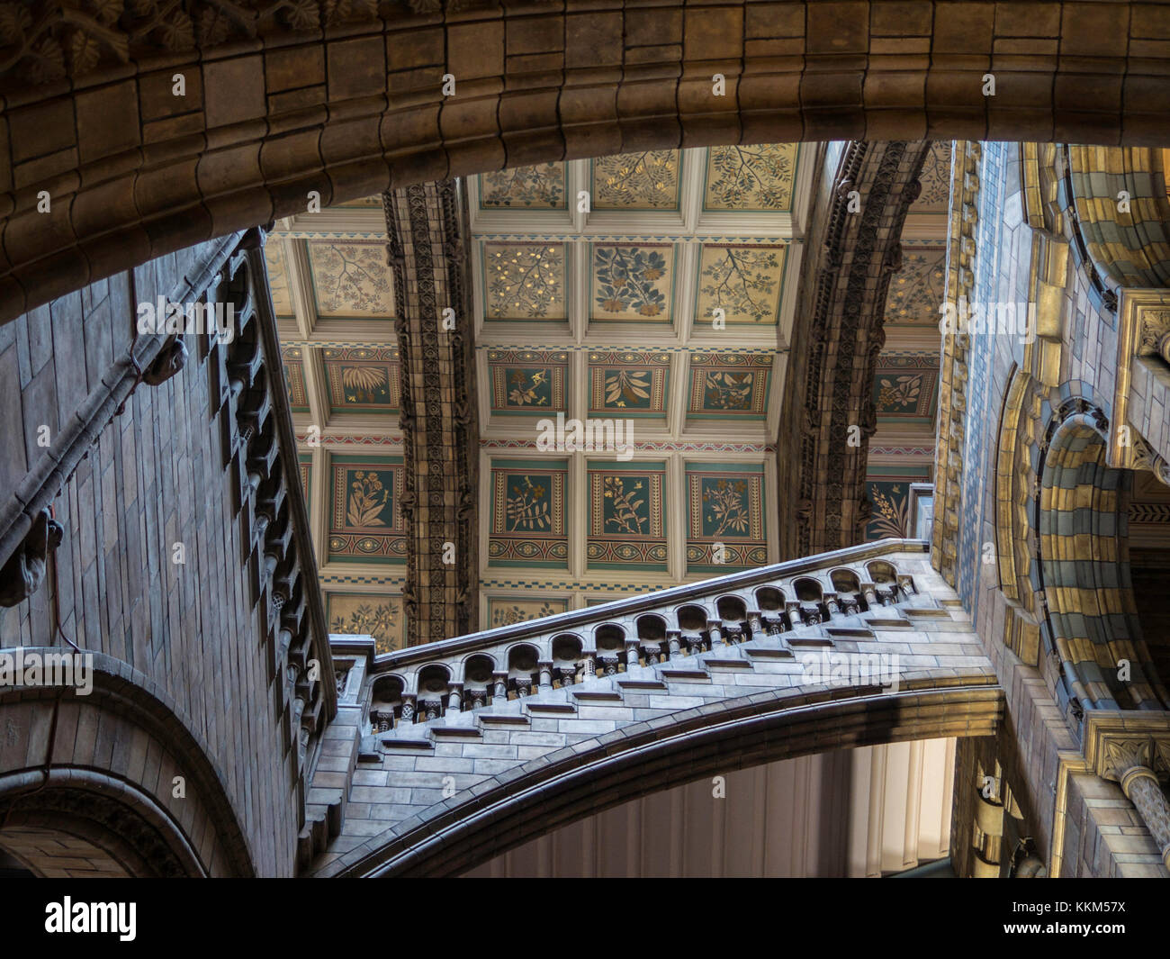Natural history museum ceiling detail hi-res stock photography and ...