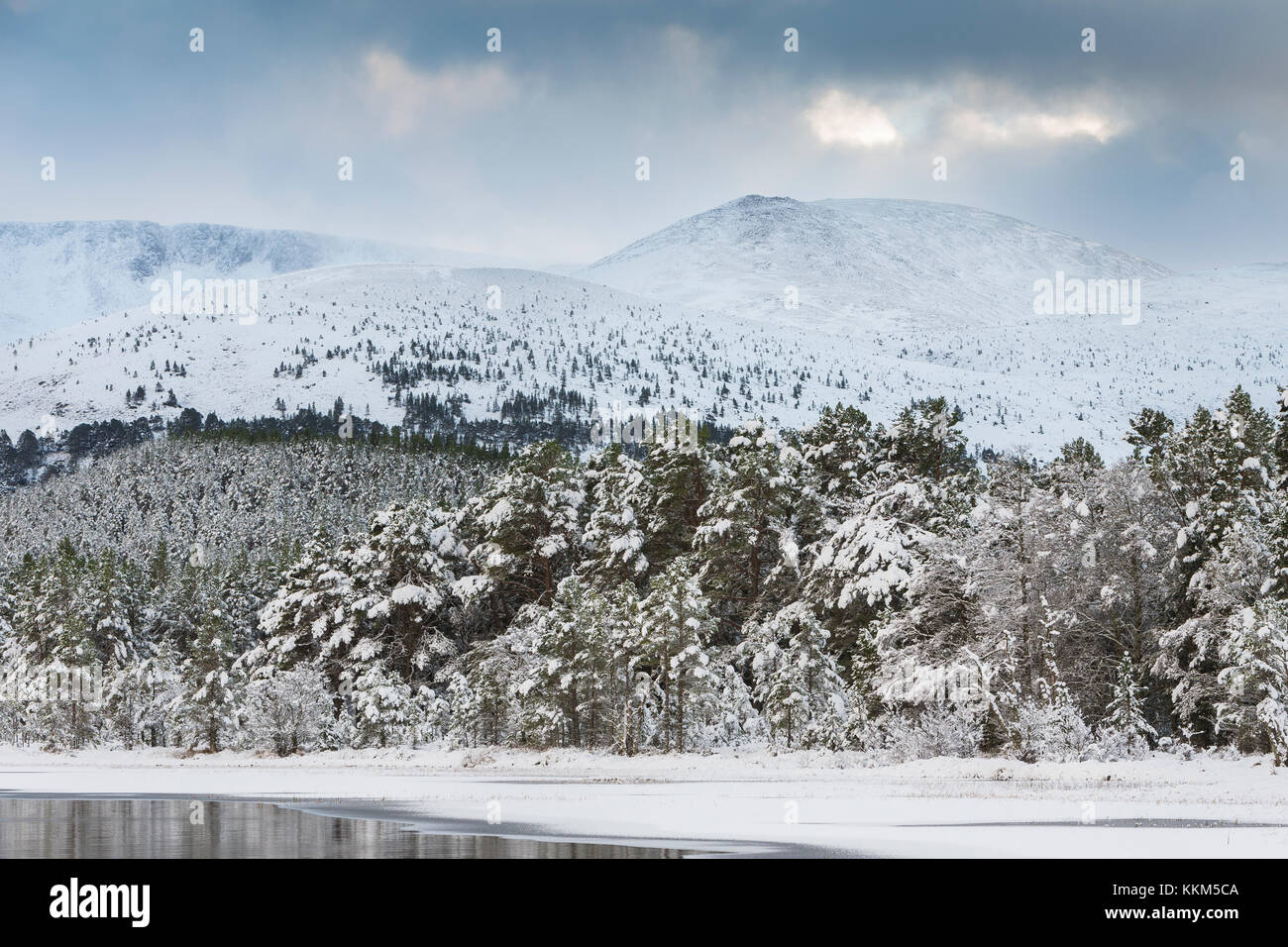 Winter in the Cairngorms National Park of Scotland Stock Photo - Alamy