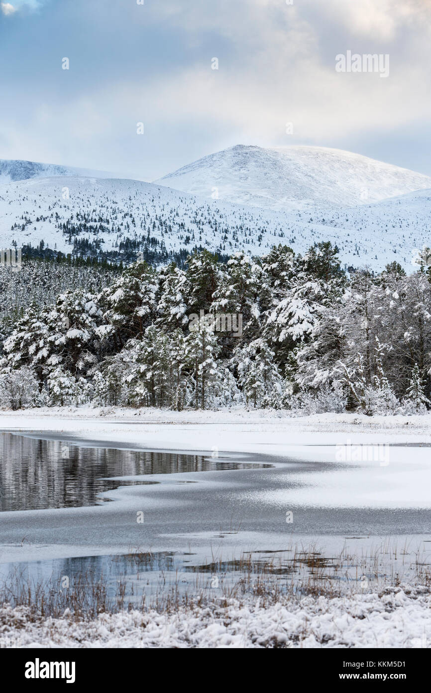 Winter on Loch Morlich in the Cairngorms National Park of Scotland ...