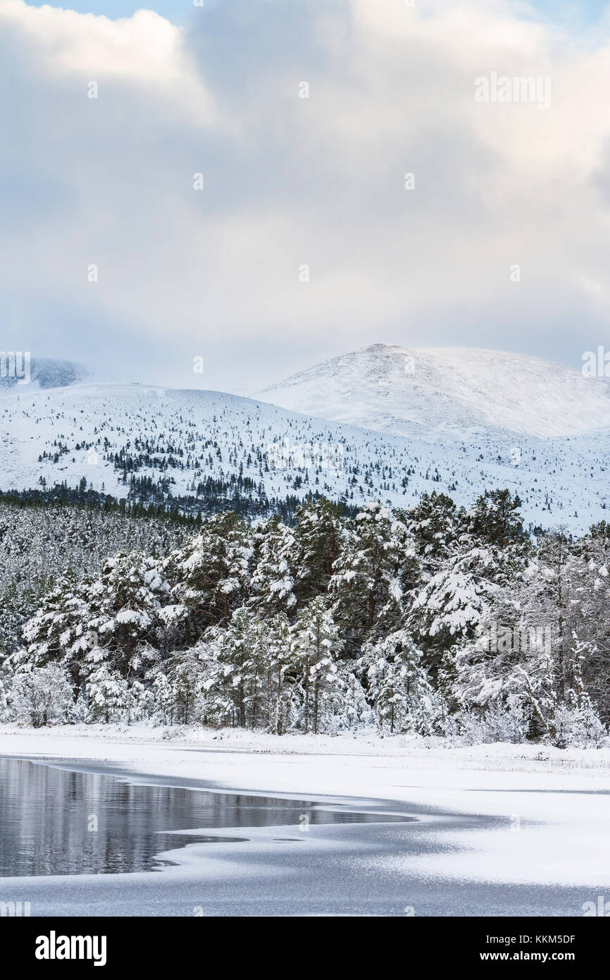 Winter in the Cairngorms National Park of Scotland Stock Photo - Alamy