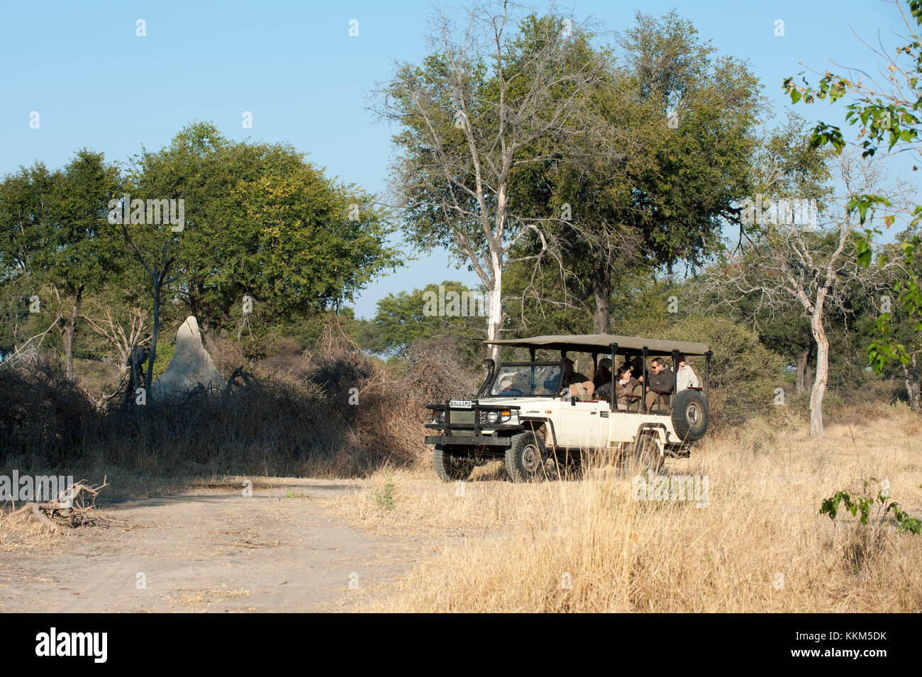 Safari vehicle, Chief Island, Moremi Game Reserve, Okavango Delta ...