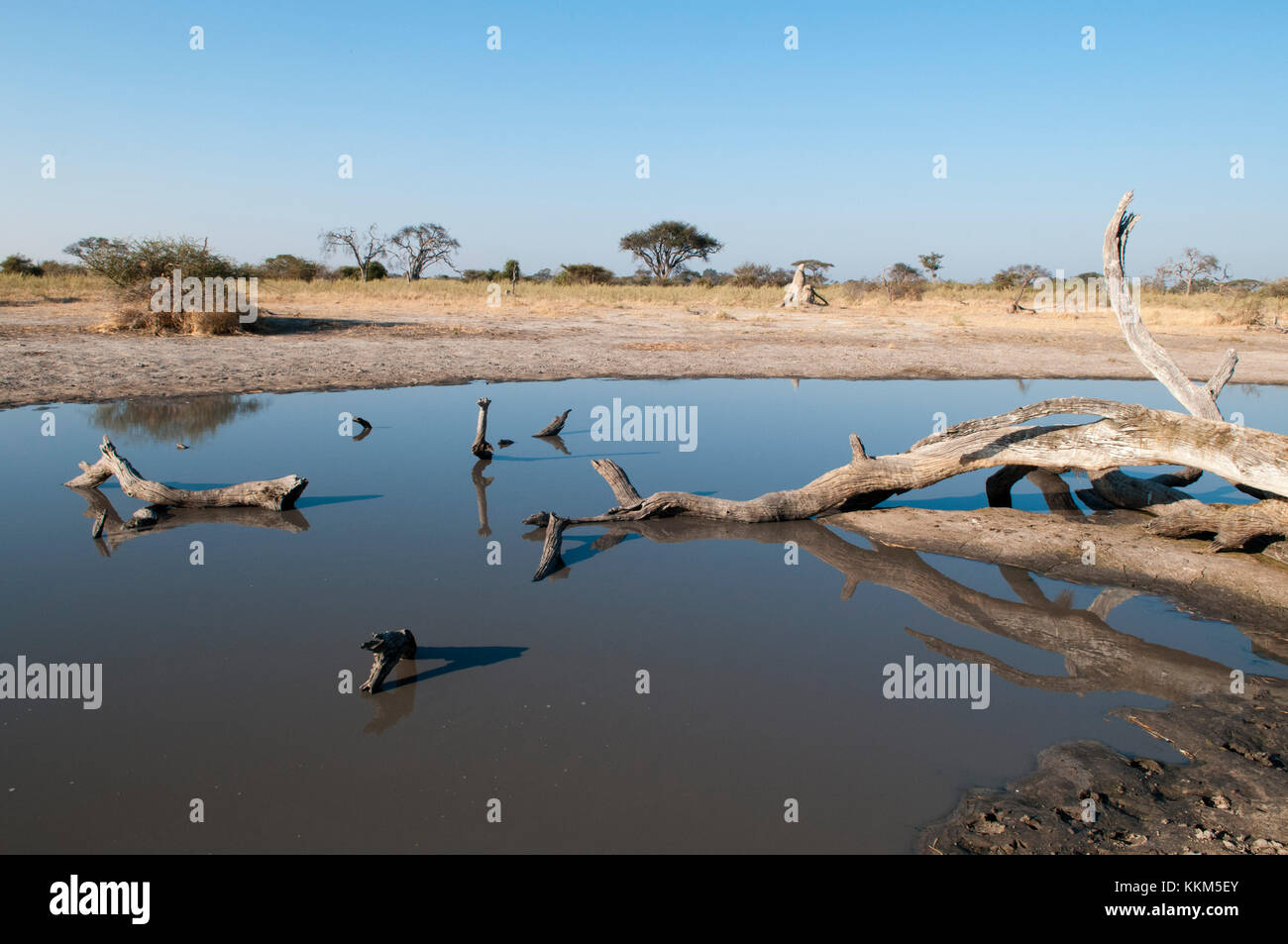Chief Island, Moremi Game Reserve, Okavango Delta, Botswana Stock Photo ...