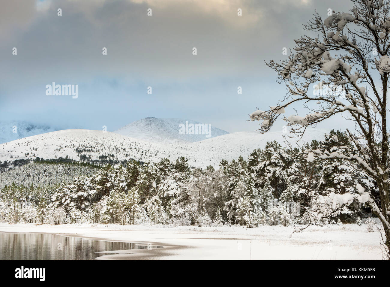 Winter on Loch Morlich in the Cairngorms National Park of Scotland ...