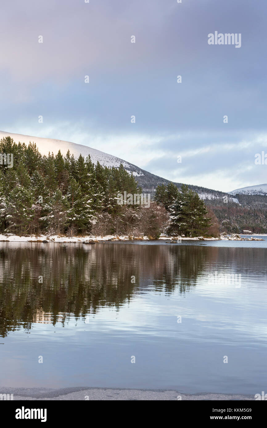 Winter on Loch Morlich in the Cairngorms National park of Scotland ...