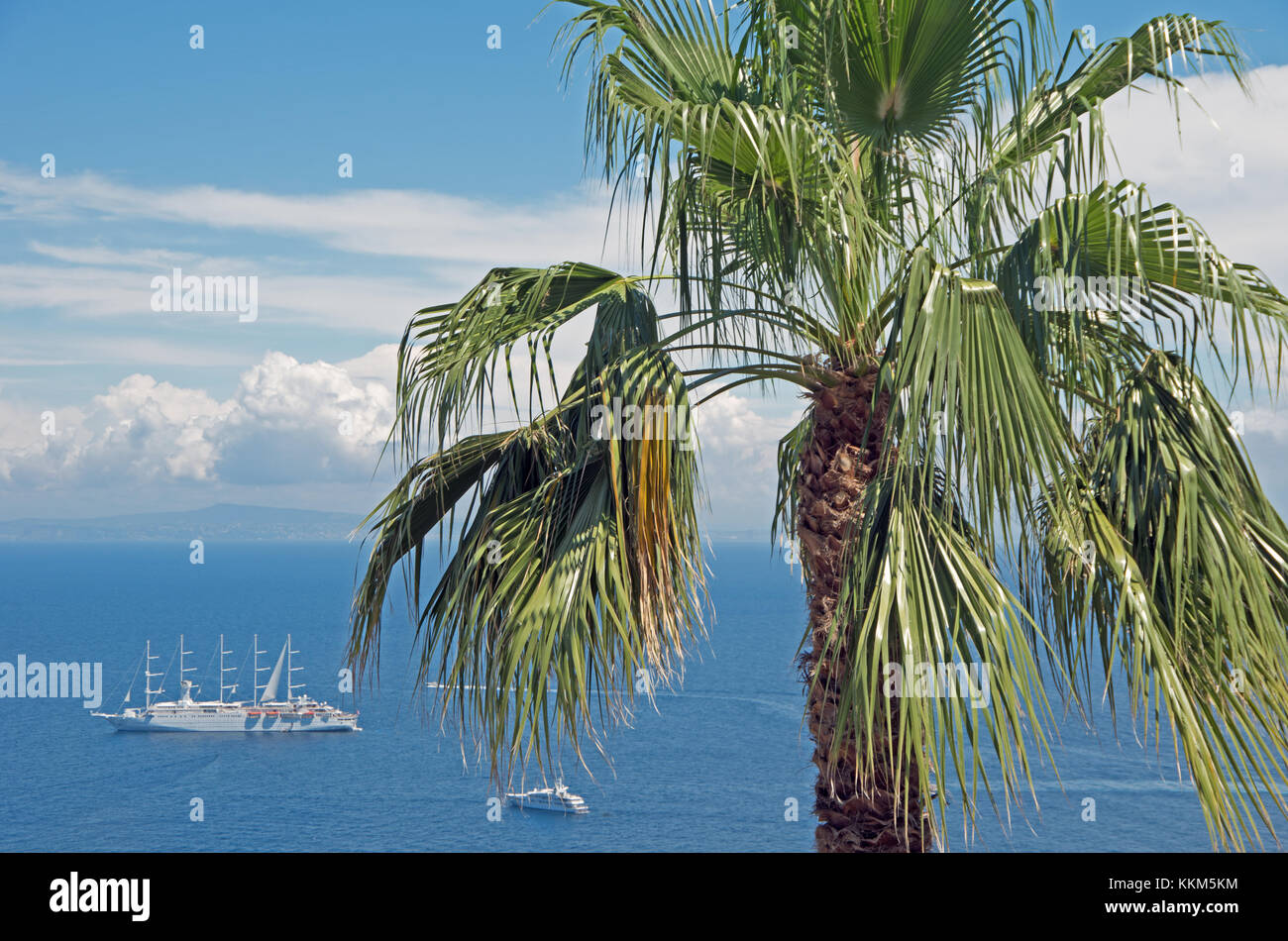 Capri Island, Tall Ship and Palm Tree, Italy, Mediterranean, Europe ...