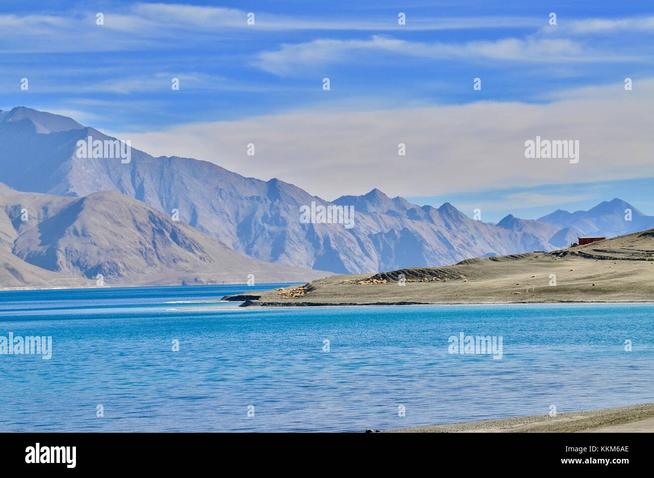 Pangong Tso Lake Stock Photo - Alamy