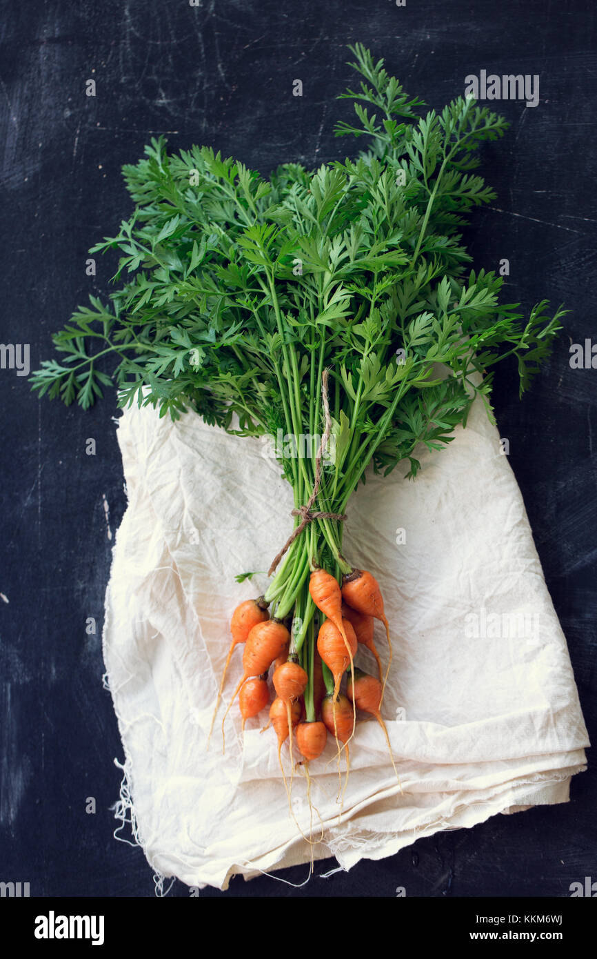 Bunch of round small carrot on a black background Stock Photo - Alamy