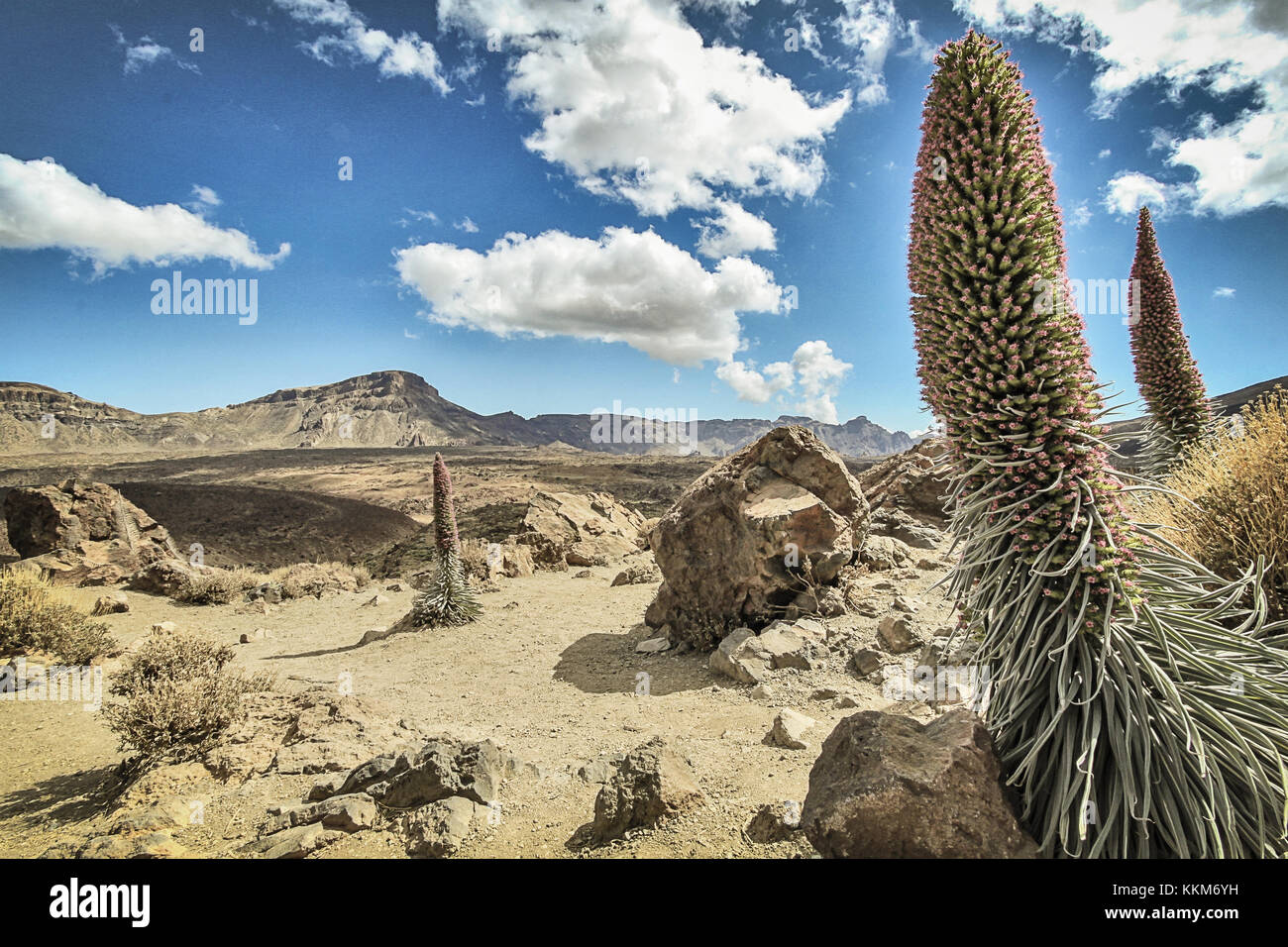 The Teide National Park Stock Photo - Alamy