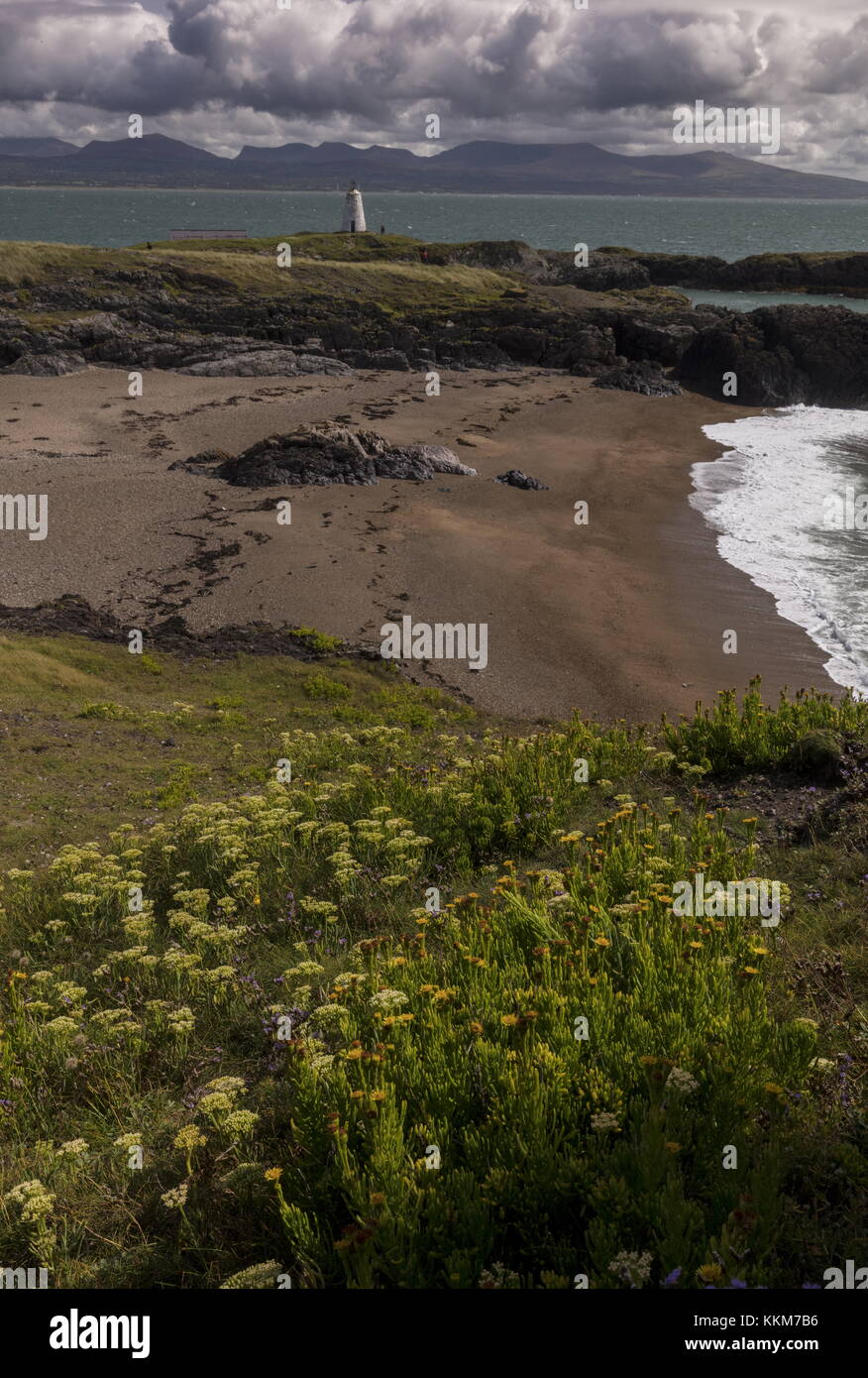 Beautiful sandy coves at the tip of Ynys Llanddwyn island, looking ...