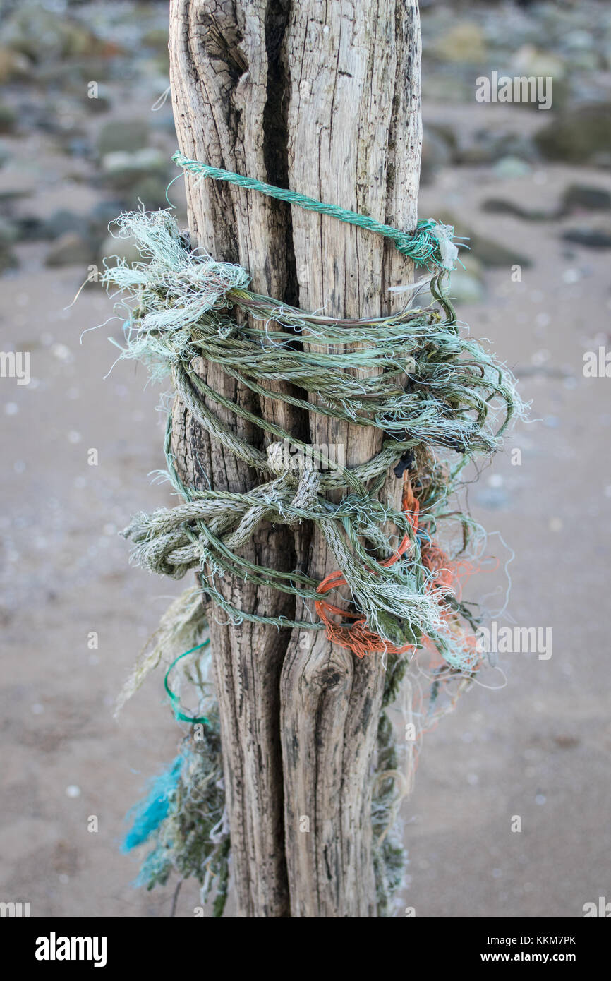 An old wooden post with ropes and string tangled round it, Carsethorn ...