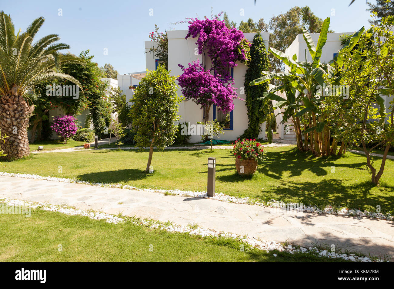 beautiful village garden Stock Photo - Alamy