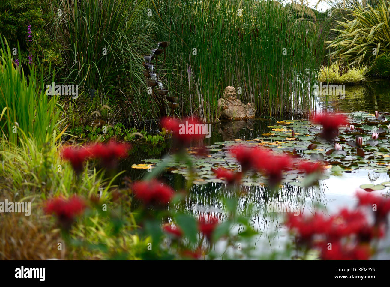 laughing buddha,statue,water feature,pond,pool,garden,gardens,coolwater ...