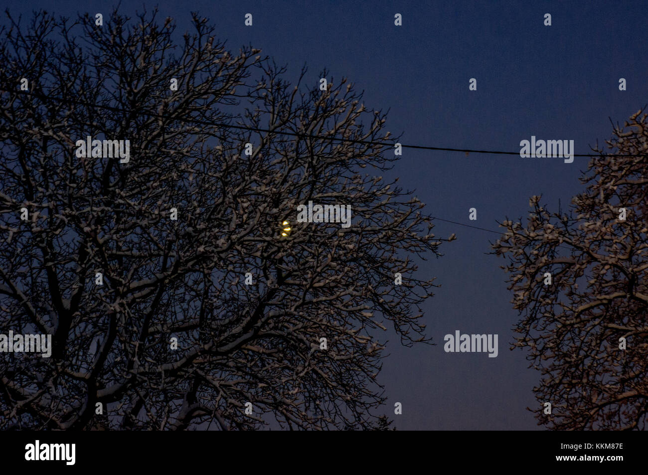Dark night landscape vector hi-res stock photography and images - Alamy