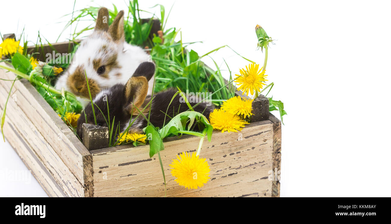 Wooden easter bunnies hi-res stock photography and images - Alamy