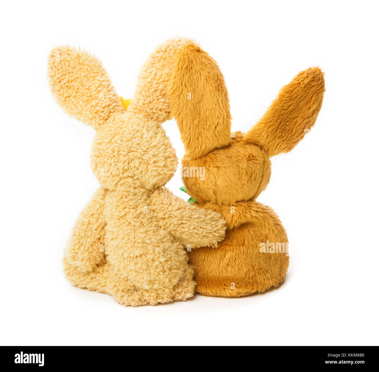Bunny rear view Cut Out Stock Images & Pictures - Alamy