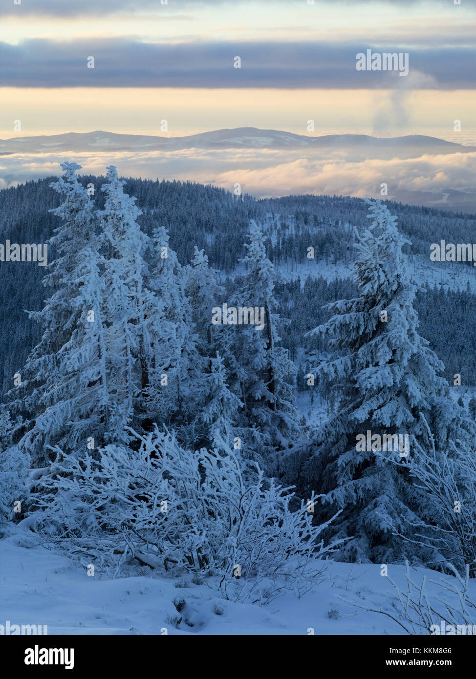 Großer Arber in winter, Bavarian Forest, Bavaria, Germany Stock Photo ...